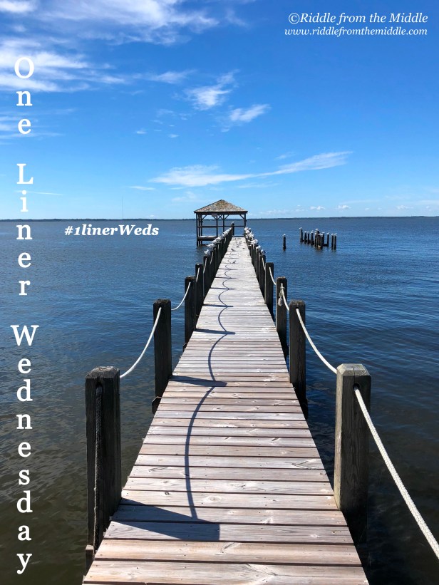 friend or no – #1linerWeds – Riddle from the Middle