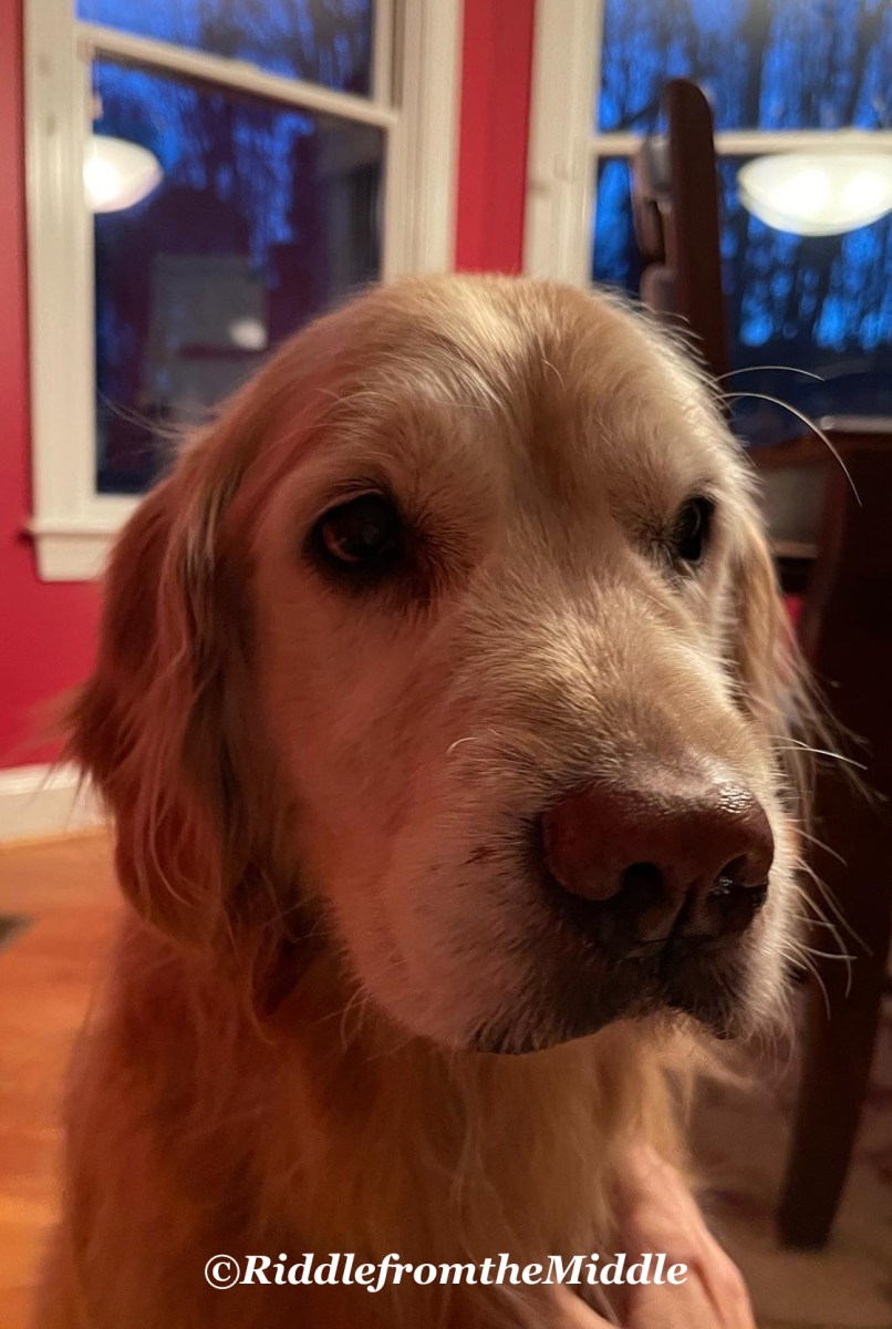 Pre-dawn outings, a mama voice, and the dark magic that is coffee in ...